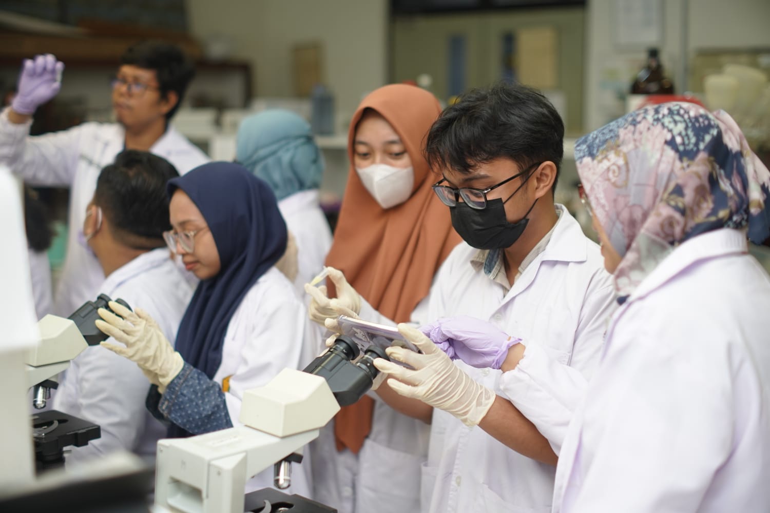 LAB PRACTICE: Bioinformatics and Plant Disease Diagnostics – master in ...